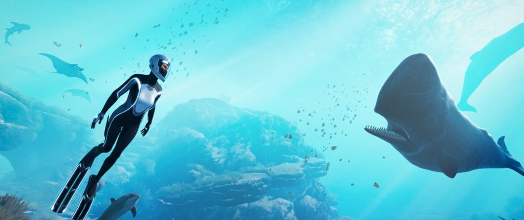 Beyond Blue – SuccesOne