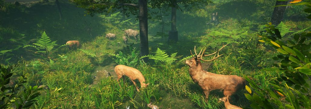 Natural Instincts – SuccesOne