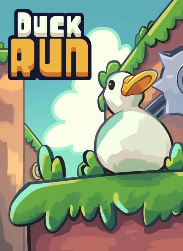 Duck Run (Windows) – SuccesOne